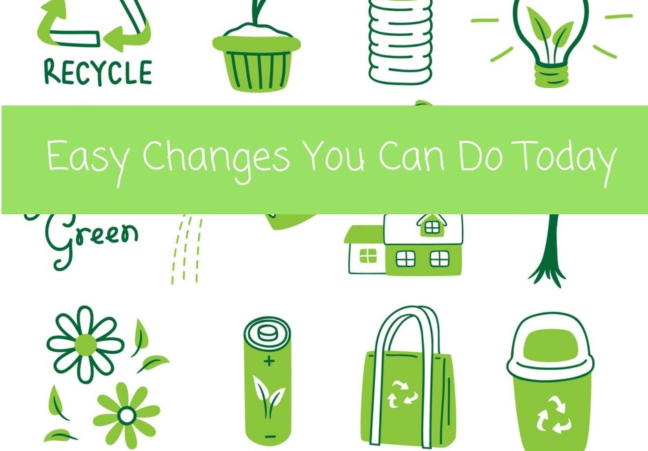 10 Things You Can Do Today to Help The Environment - HipLatina