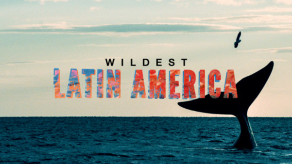 9 Great Latino Shows and Movies You Can Stream on Netflix Now - HipLatina