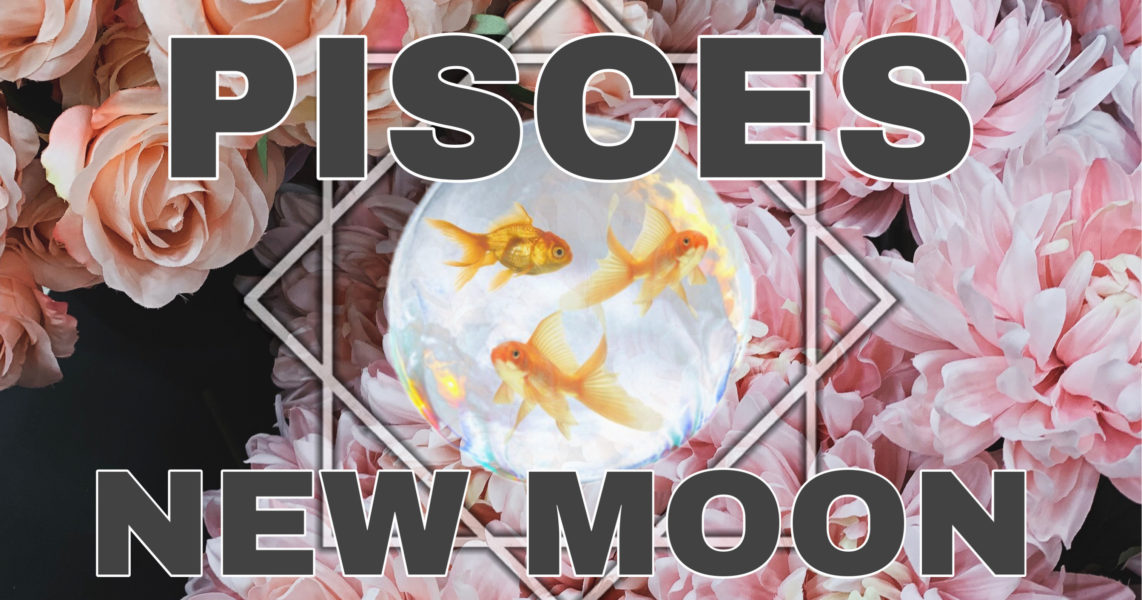 This New Moon in Pisces Is All About Making Your Dreams a Reality ...