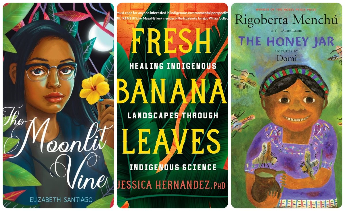 13 Books by Indigenous LATAM Authors to Read for Native American ...